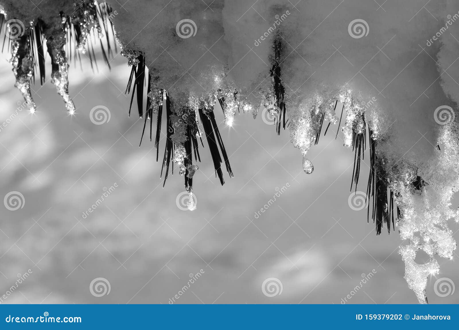 Winter Cold Weather and Sun Reflections Stock Photo - Image of weather ...