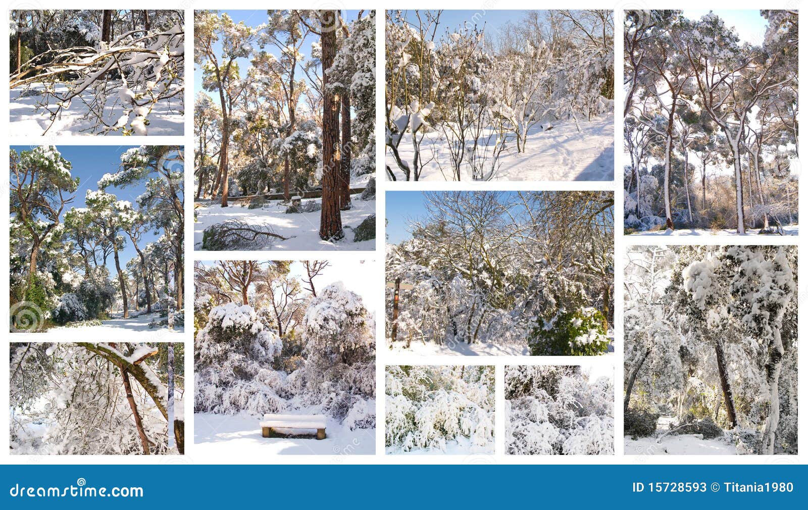 Winter collage stock image. Image of park, outdoor, snowflake - 15728593