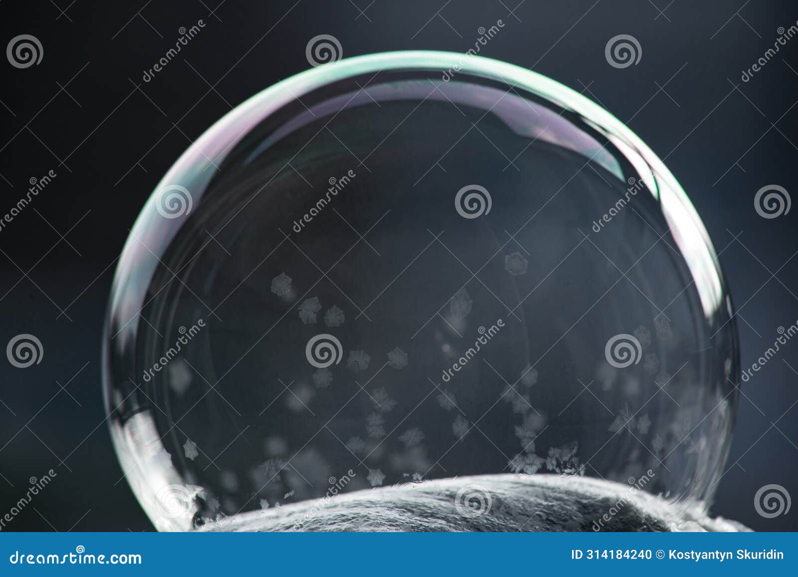 Winter Collage. a Transparent Soap Bubble Freezing in the Cold on a ...