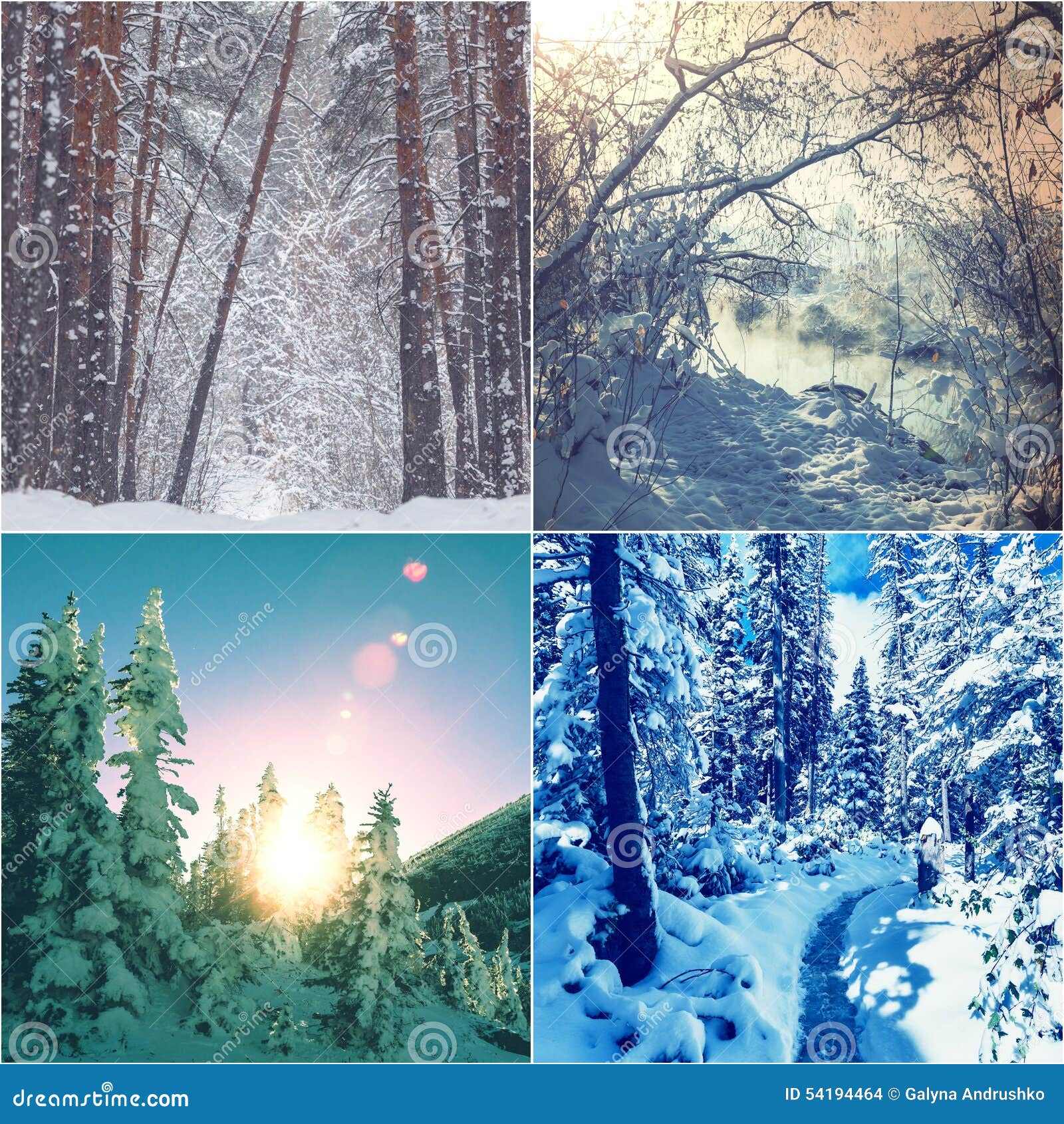 Winter collage stock photo. Image of sunny, collage, natural - 54194464