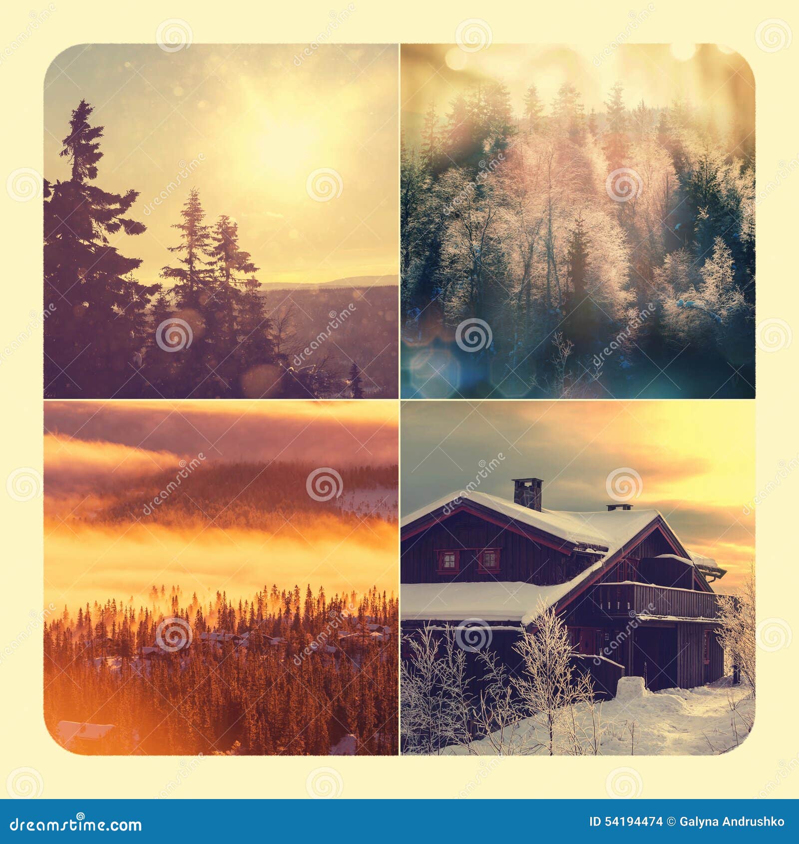 Winter collage stock photo. Image of hoar, freeze, frozen - 54194474
