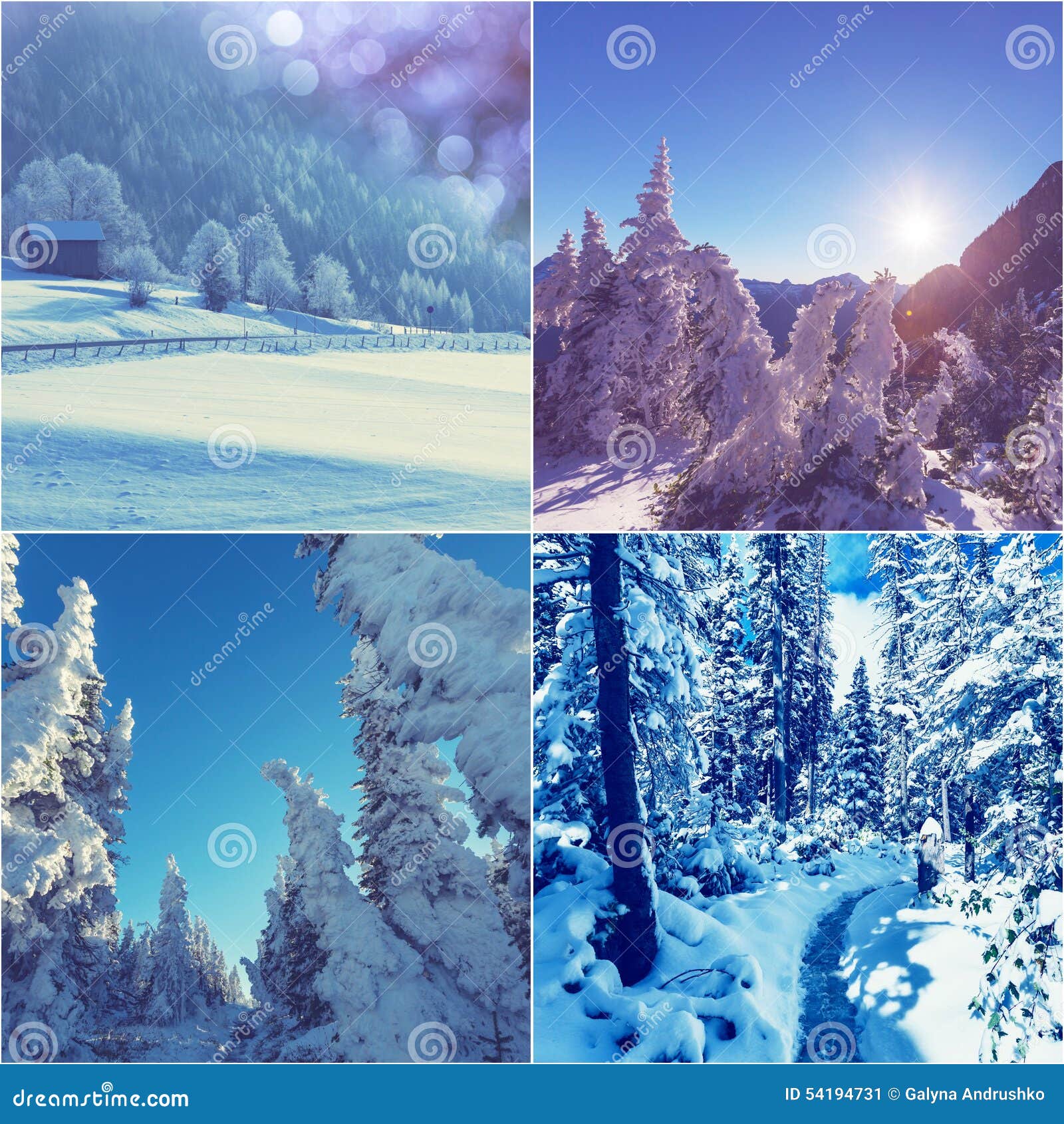 Winter collage stock image. Image of trees, frost, shadows - 54194731