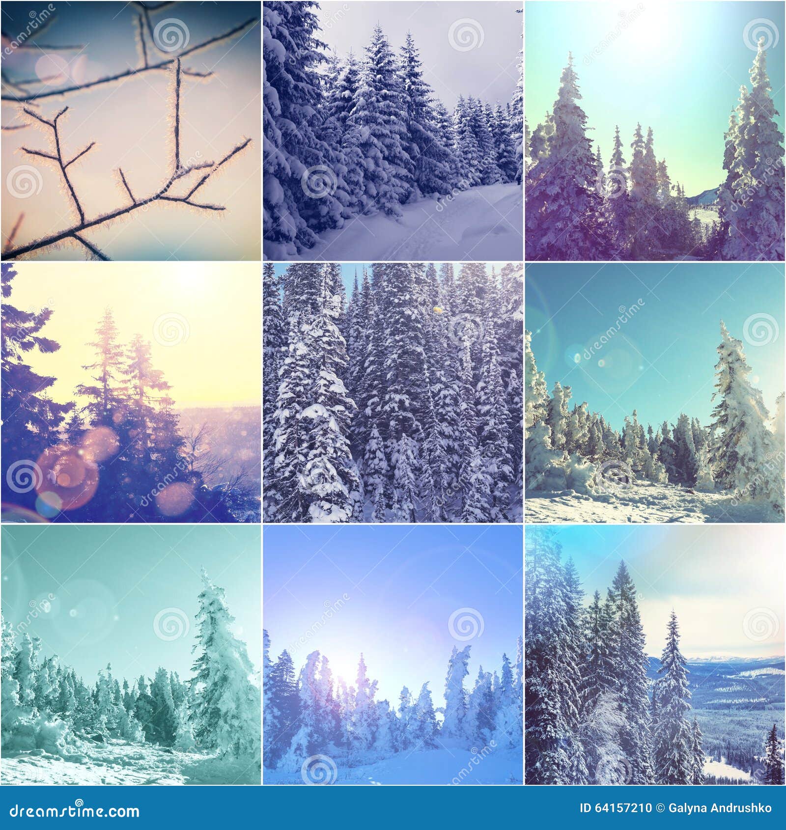 Winter collage stock photo. Image of frozen, sunny, holiday - 64157210