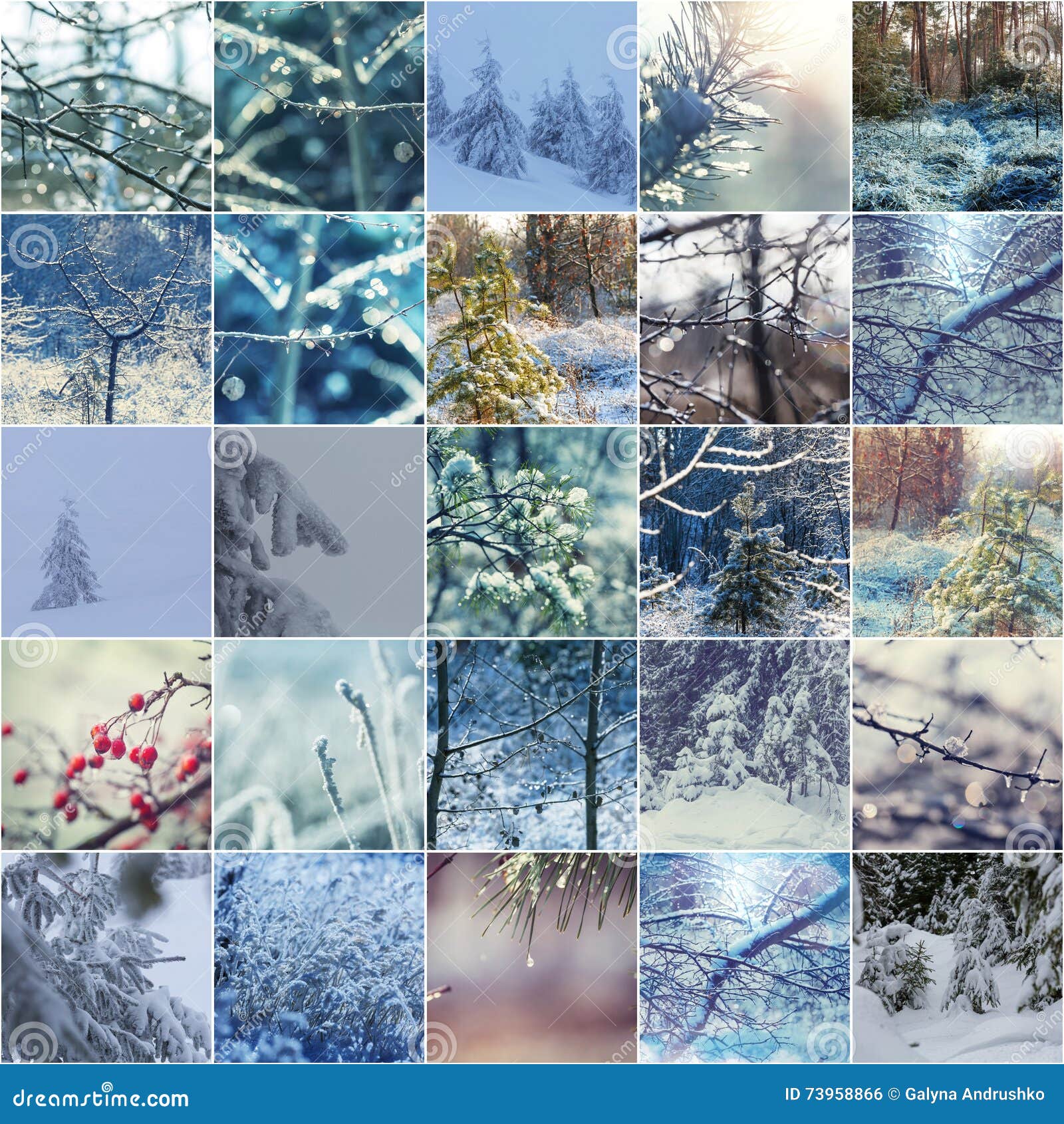 Winter collage stock photo. Image of scenery, frozen - 73958866