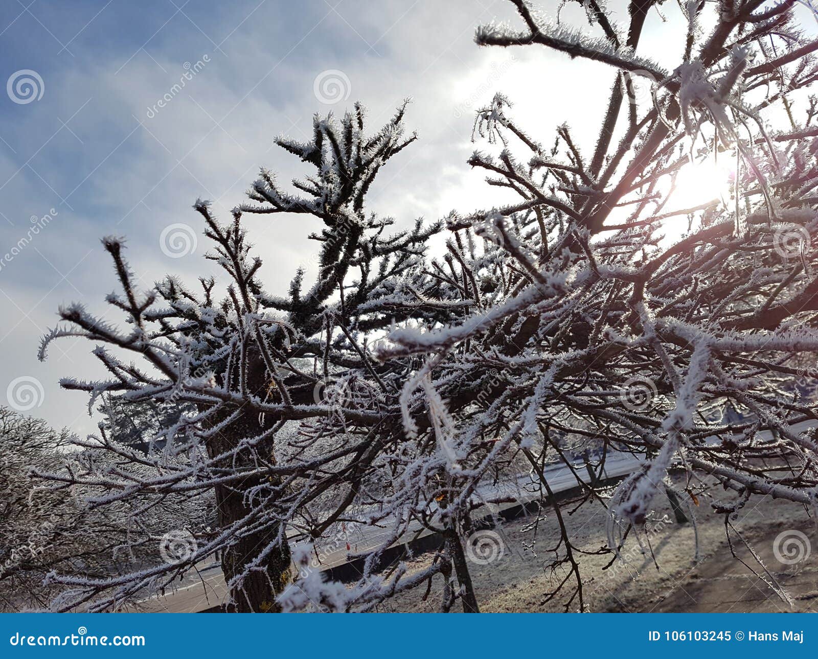 Winter comes stock image. Image of cold, winter, anger - 106103245