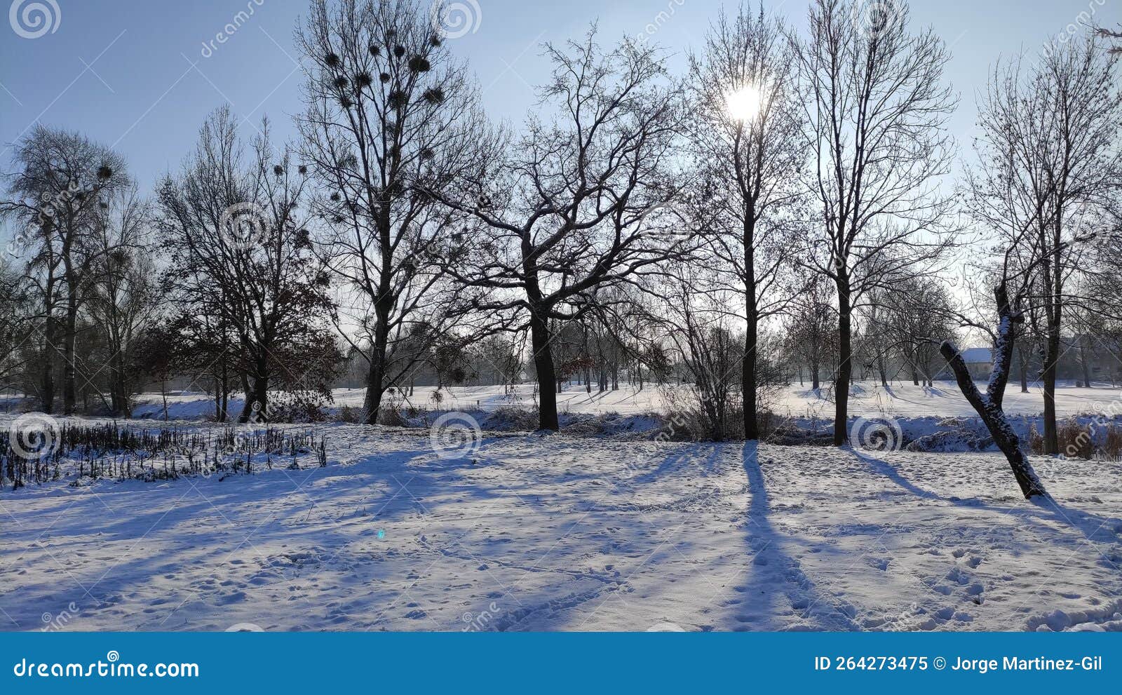Winter is coming stock image. Image of winter, snow - 264273475