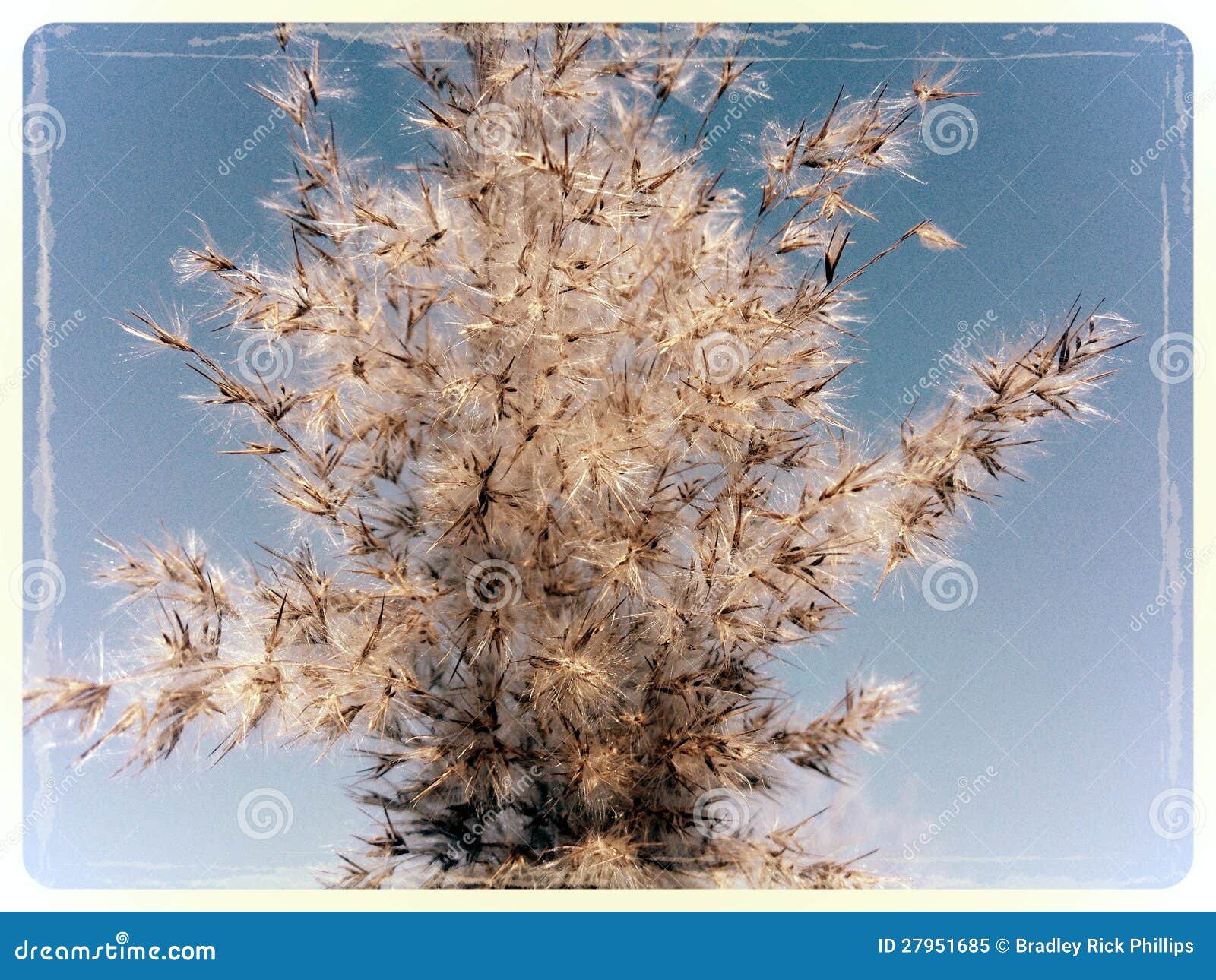 Winter is coming stock image. Image of effects, coming - 27951685