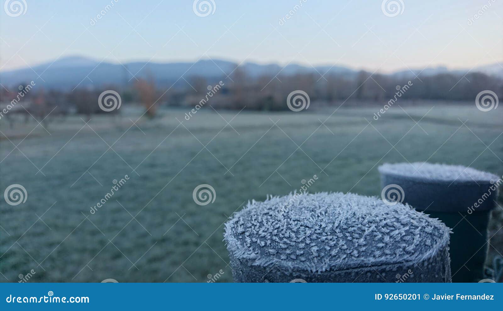 Winter is Coming. Frost Meadow Stock Image - Image of frost, escarcha ...