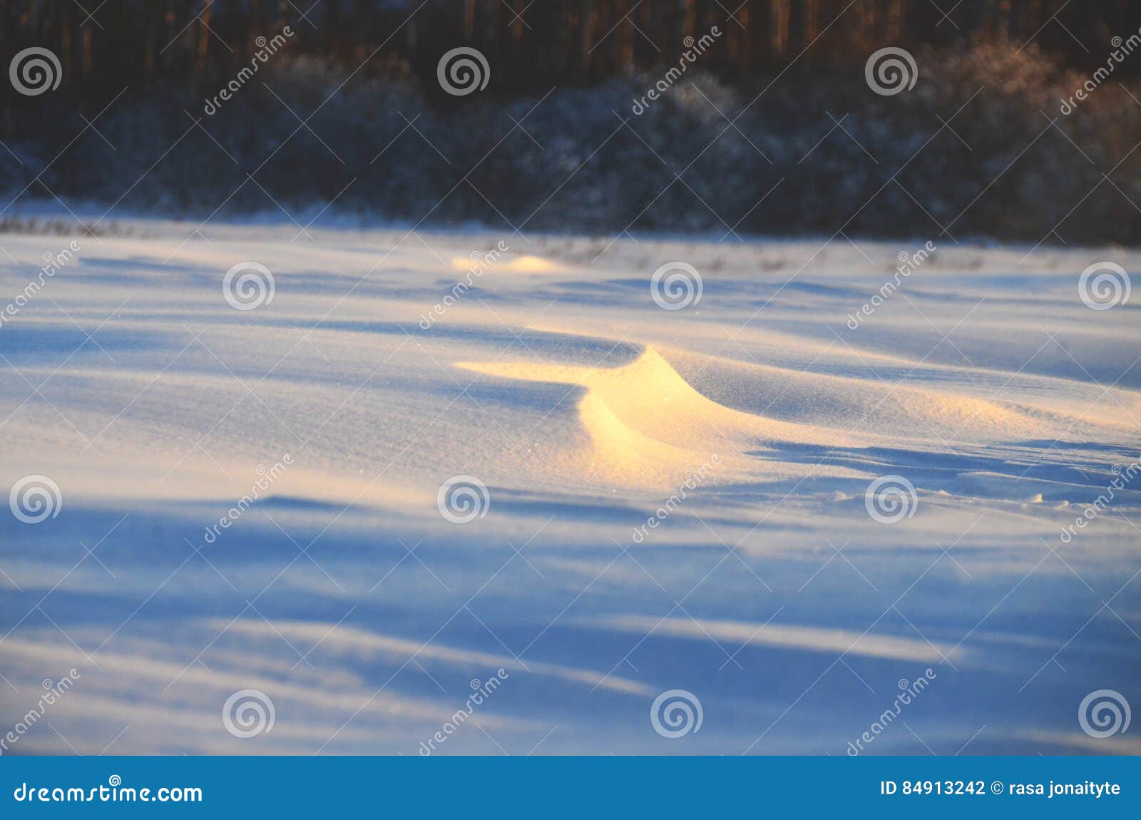 Winter coming stock photo. Image of snow, coming, winter - 84913242