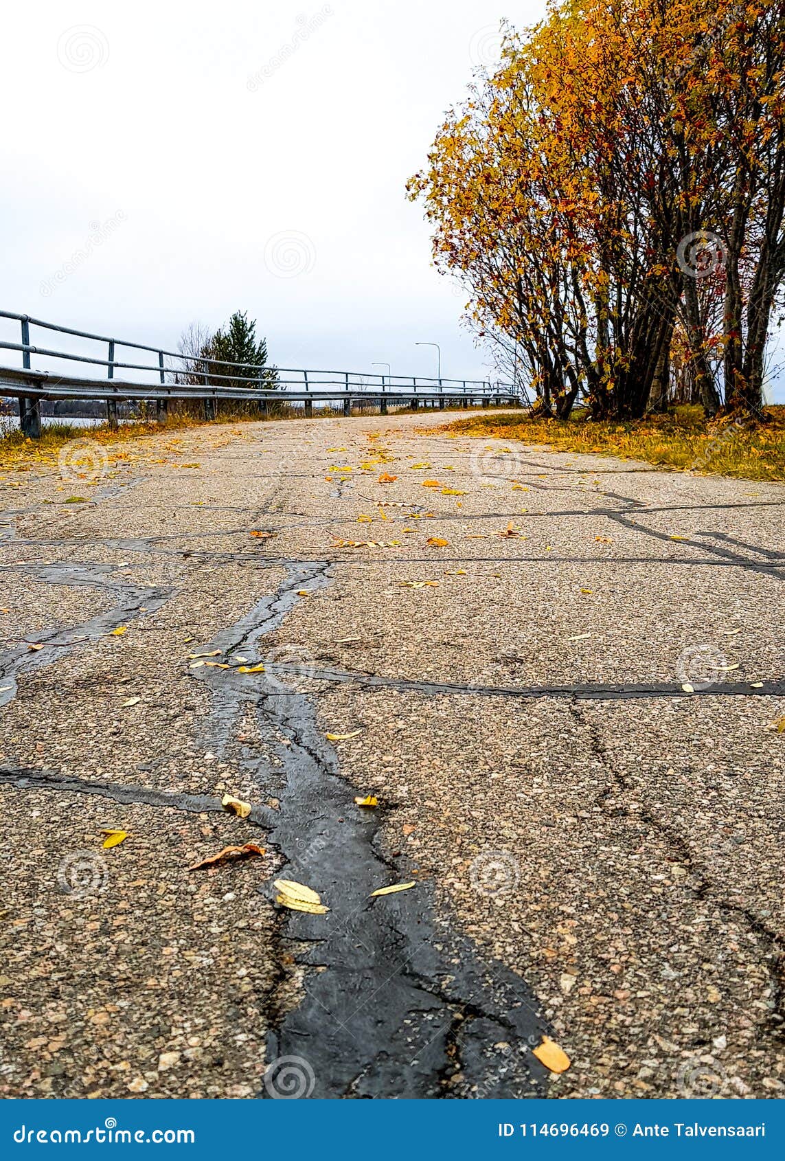 Road Spring Leaf Finland Lapland Stock Image - Image of leaf, road ...
