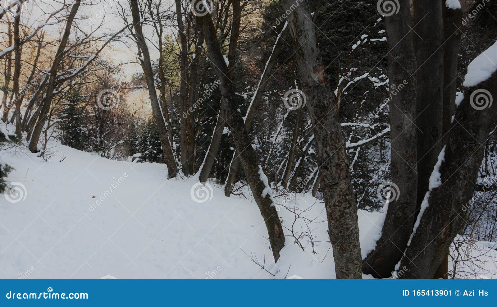 Winter is Coming and Snow ! Stock Image - Image of landscape, covered ...