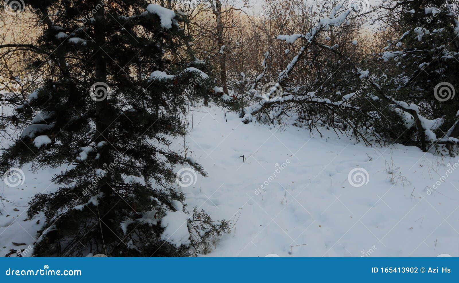 Winter is Coming and Snow ! Stock Photo - Image of winter, nature ...