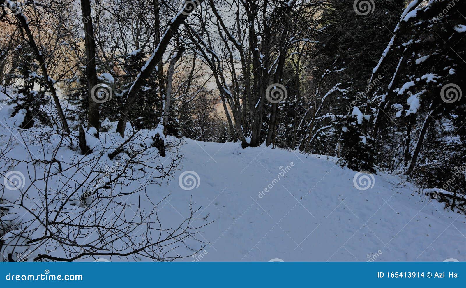 Winter is Coming and Snow ! Stock Photo - Image of utah, nature: 165413914