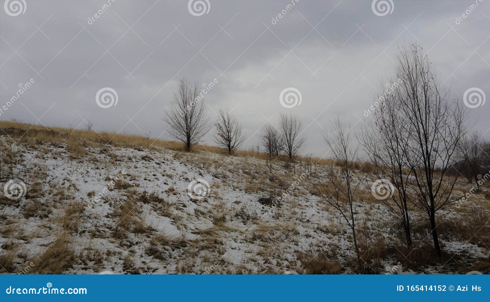 Winter is Coming and Snow ! Stock Photo - Image of meditation, nature ...