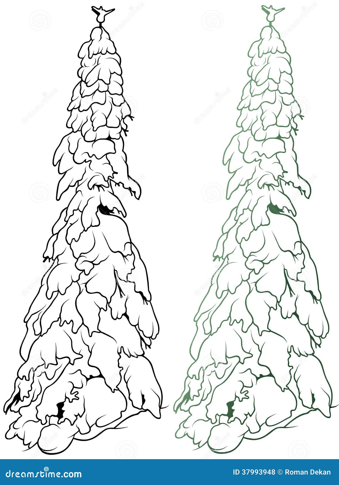 Winter Conifer stock vector. Illustration of branch, design - 37993948