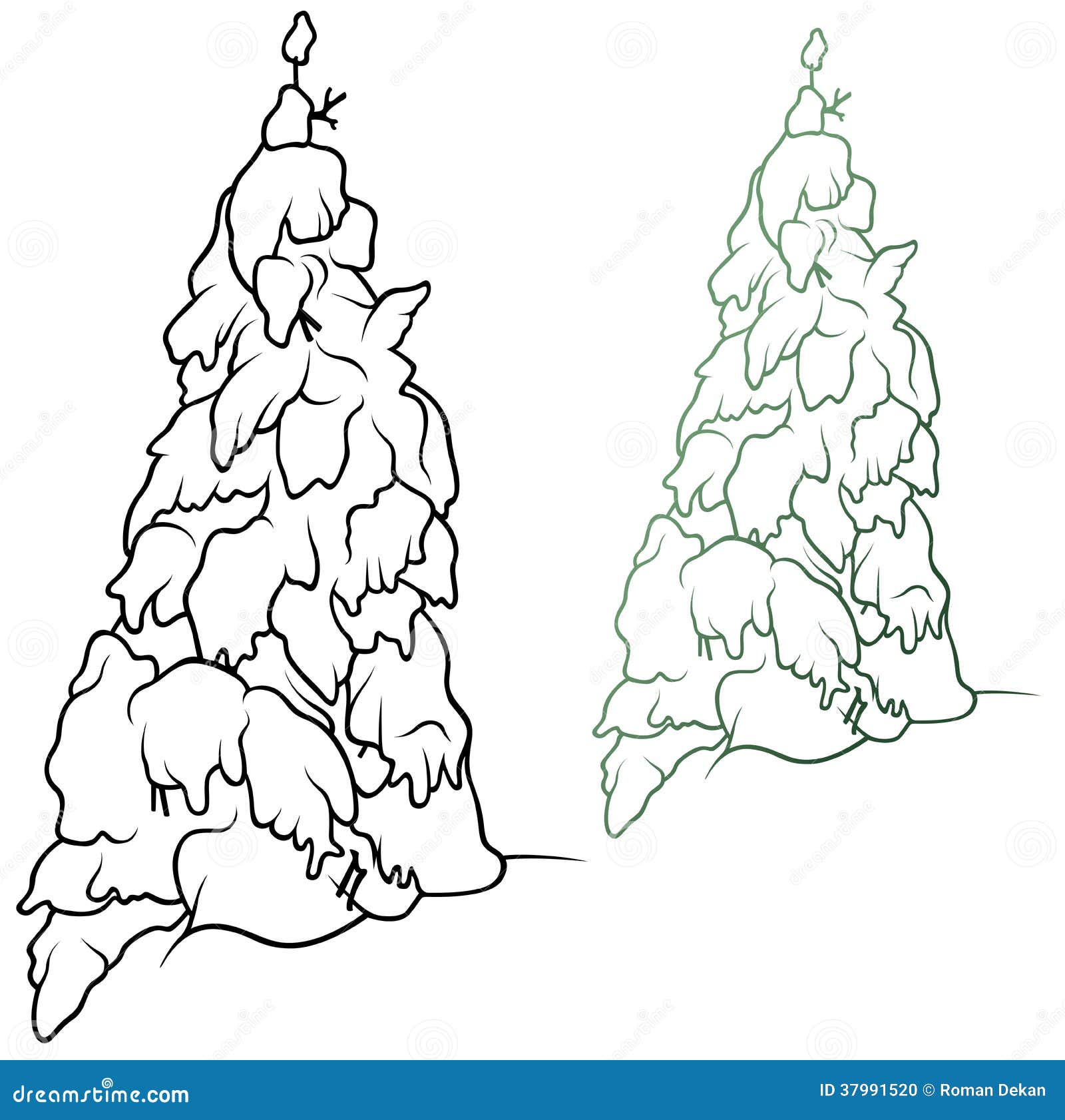 Winter Coniferous Tree stock vector. Illustration of wood - 37991520