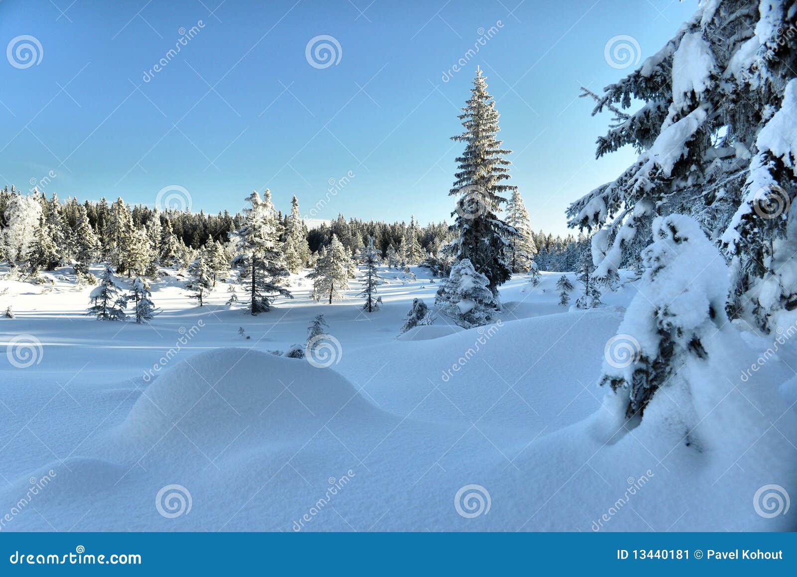 Winter country stock image. Image of forest, green, idyllic - 13440181