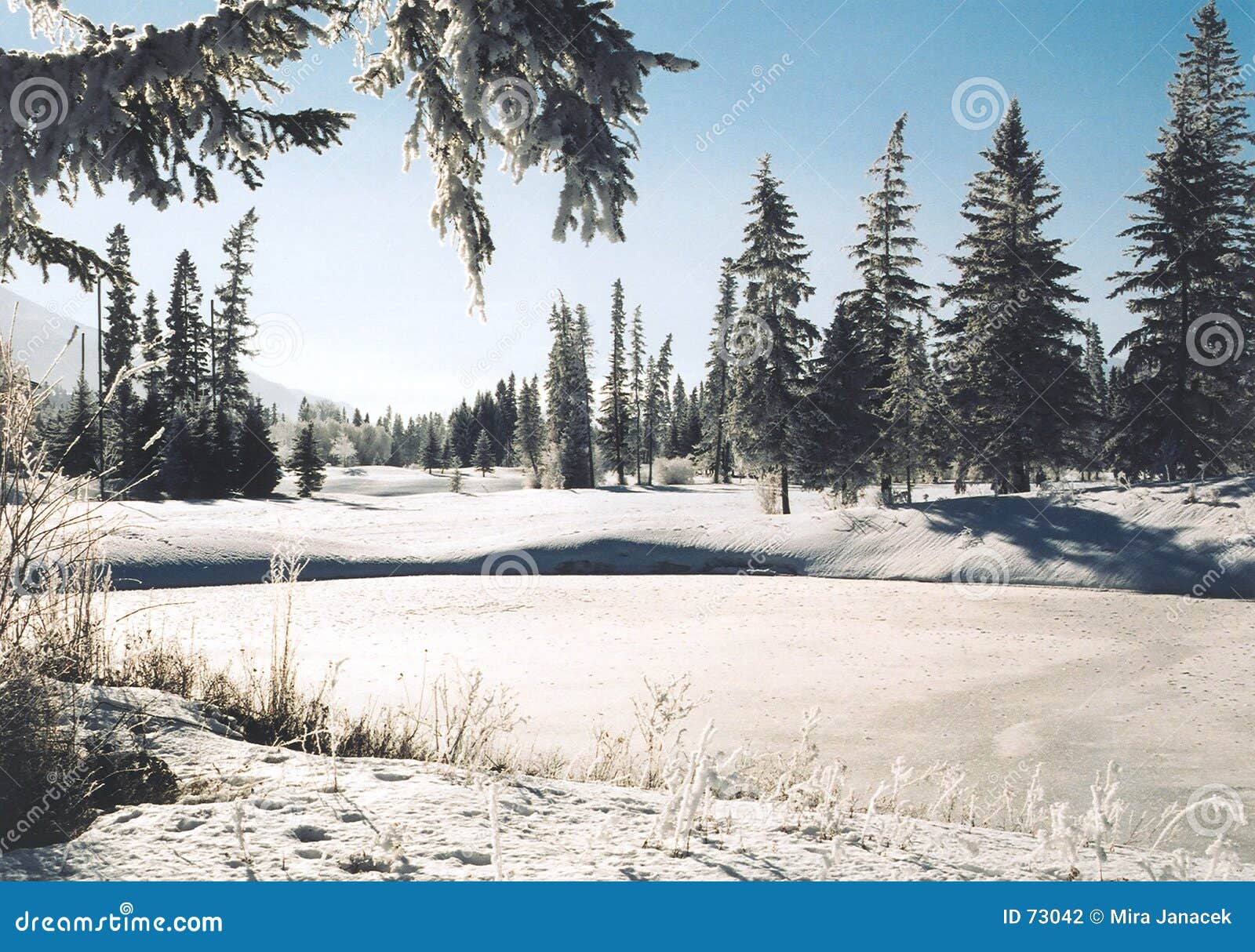 Winter country stock photo. Image of winter, snow, frozen - 73042