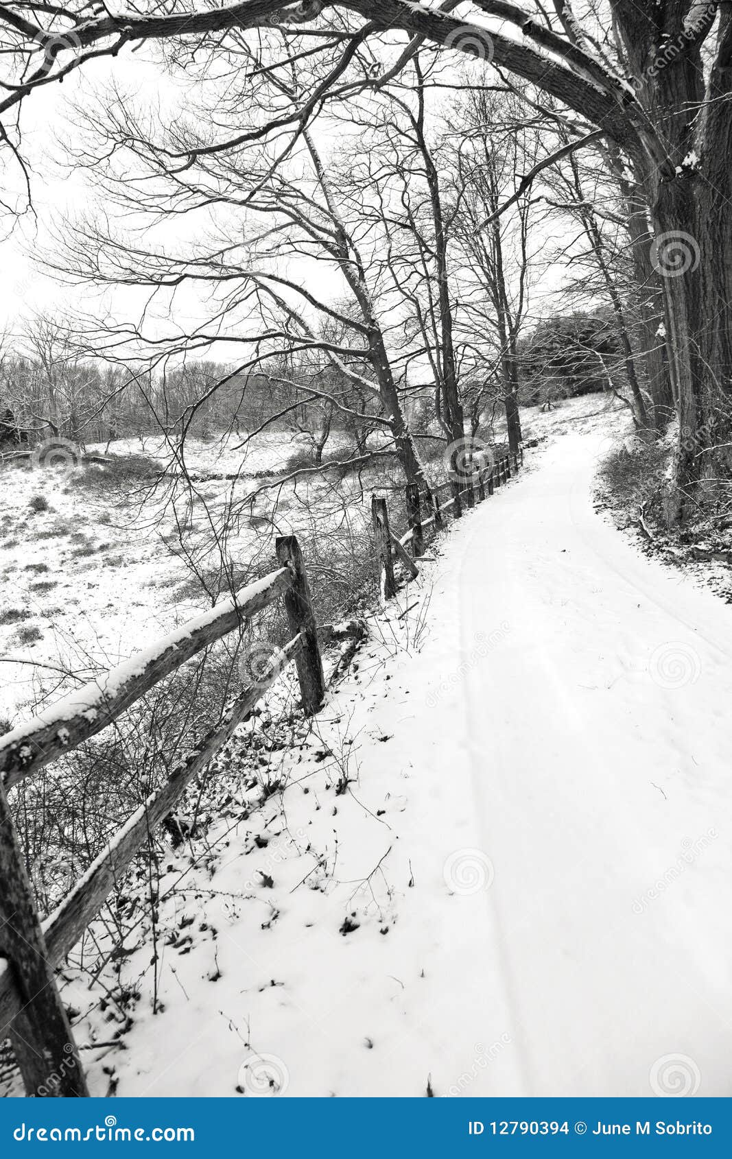 Winter Country Lane stock photo. Image of fence, uphill - 12790394