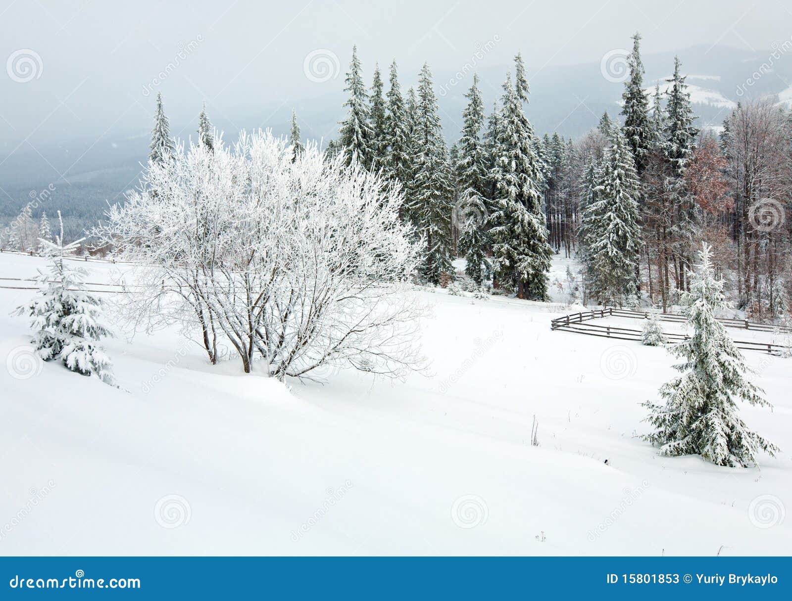 Winter Country Mountain Landscape Stock Image - Image of country, fence ...