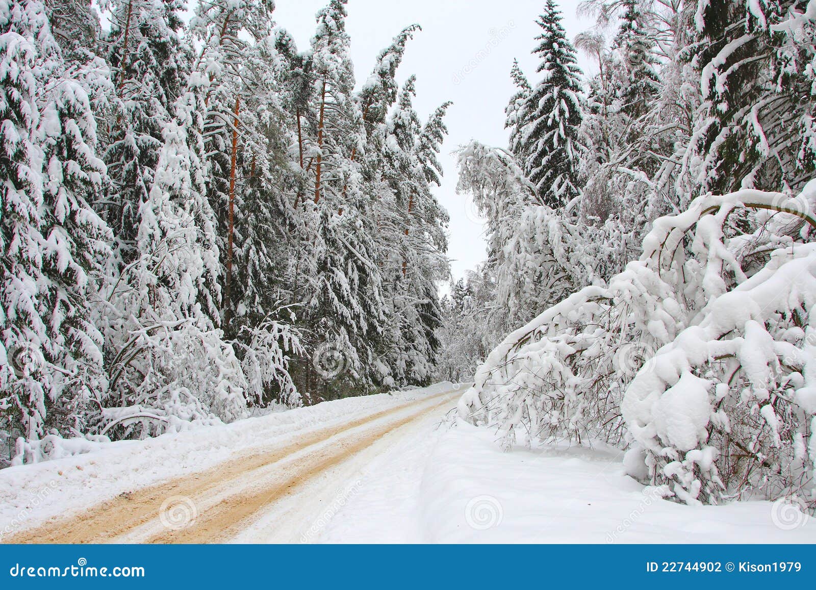 Winter country road stock photo. Image of travel, season - 22744902