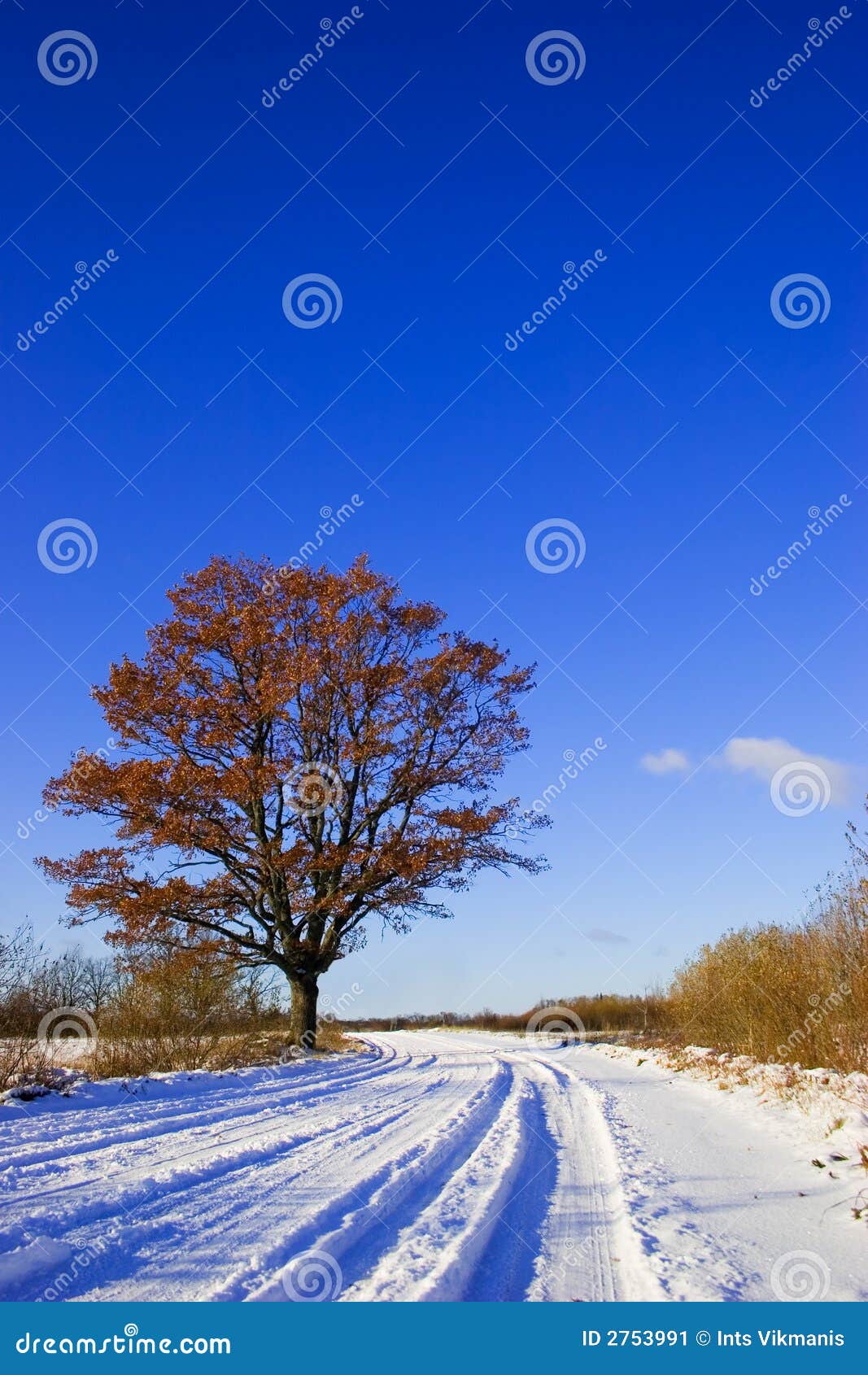 Winter country road stock image. Image of bare, nature - 2753991