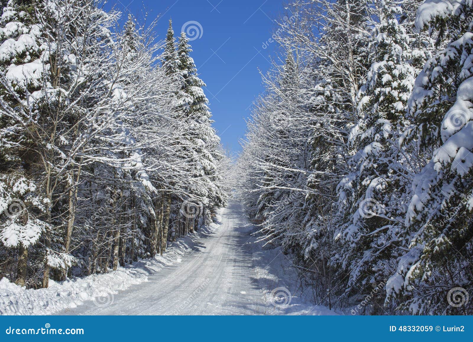 Winter country road stock image. Image of season, snow - 48332059