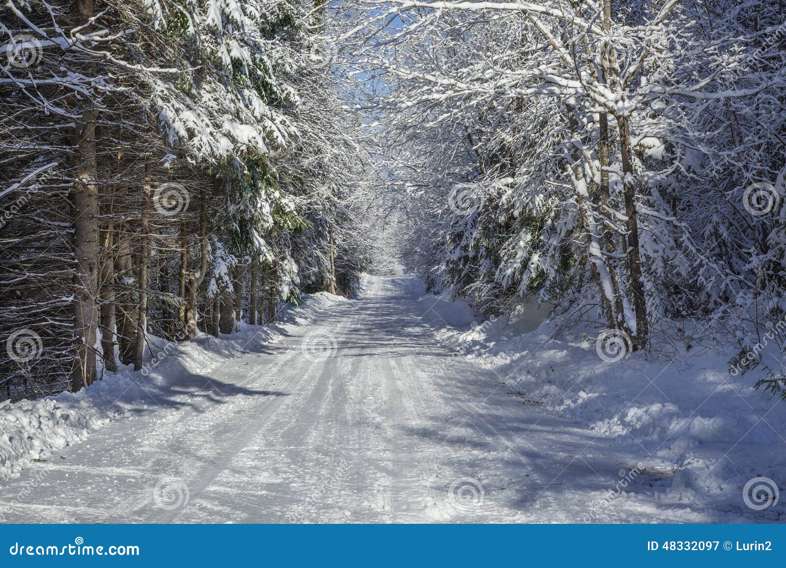 Winter country road stock image. Image of december, rural - 48332097