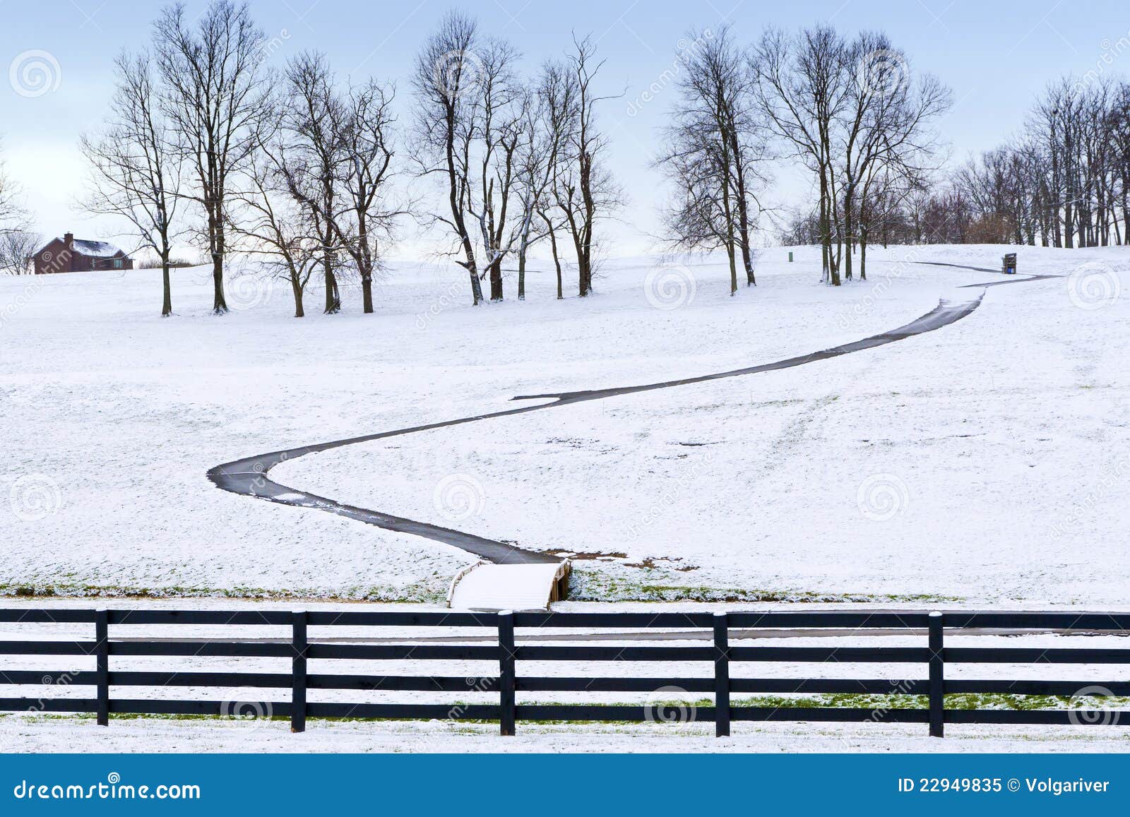 Winter Country Scene with Trees and a Path. Stock Image - Image of wood ...