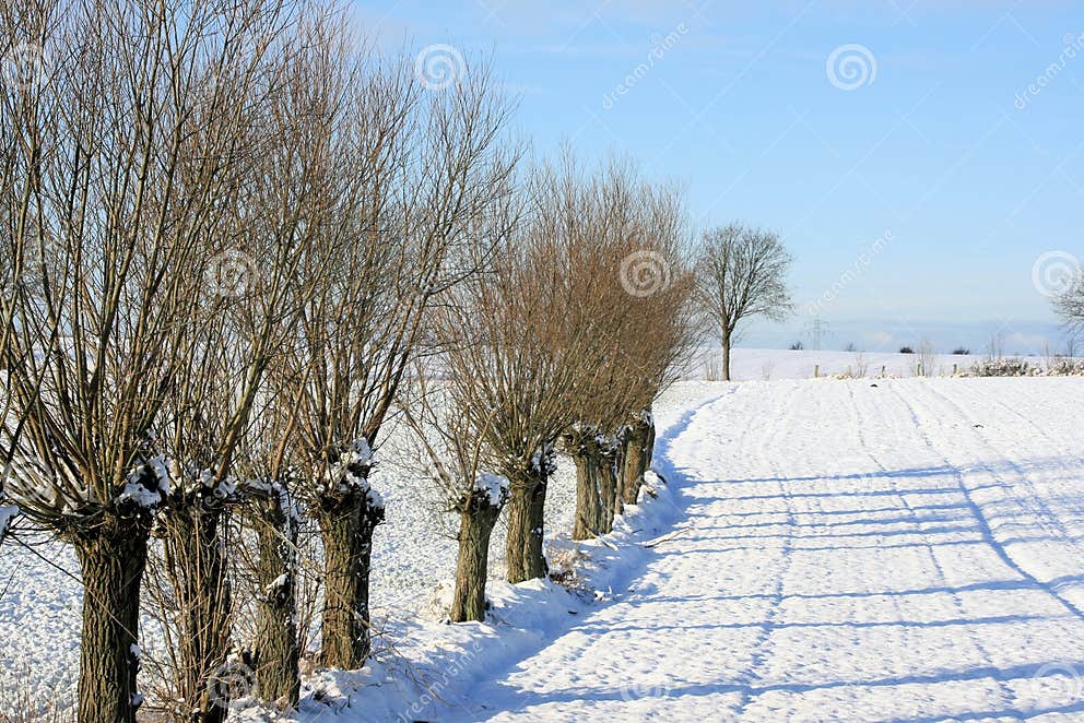 Winter in the countryside stock image. Image of forest - 1872153