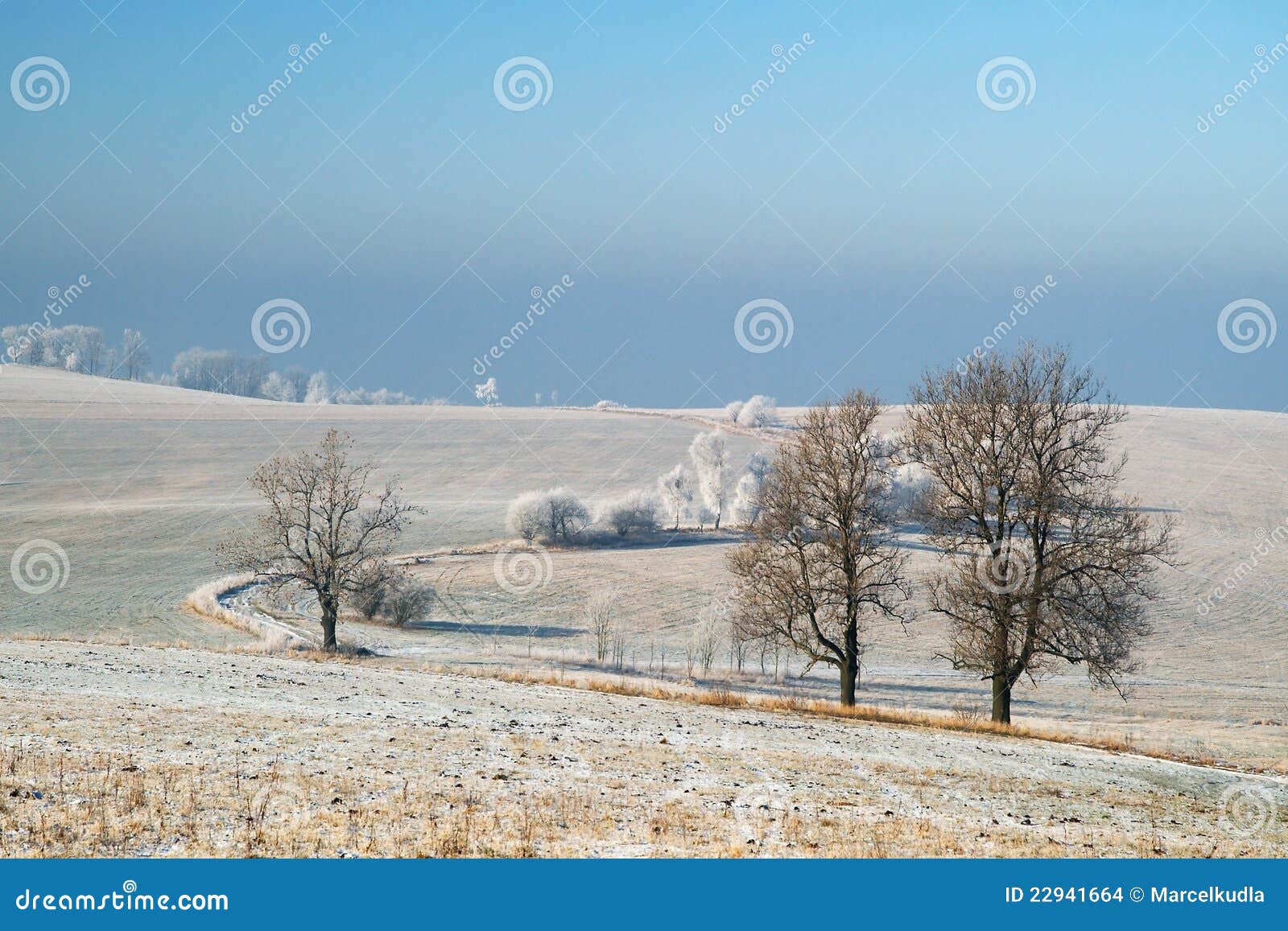 Winter in countryside stock photo. Image of nature, horizon - 22941664