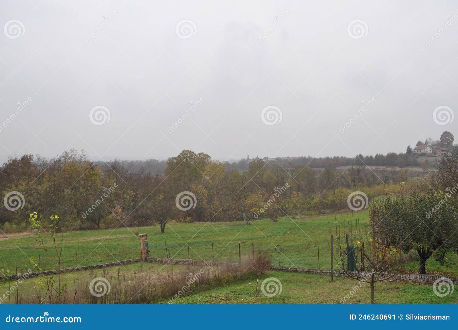 Winter countryside skyline stock image. Image of meadow - 246240691