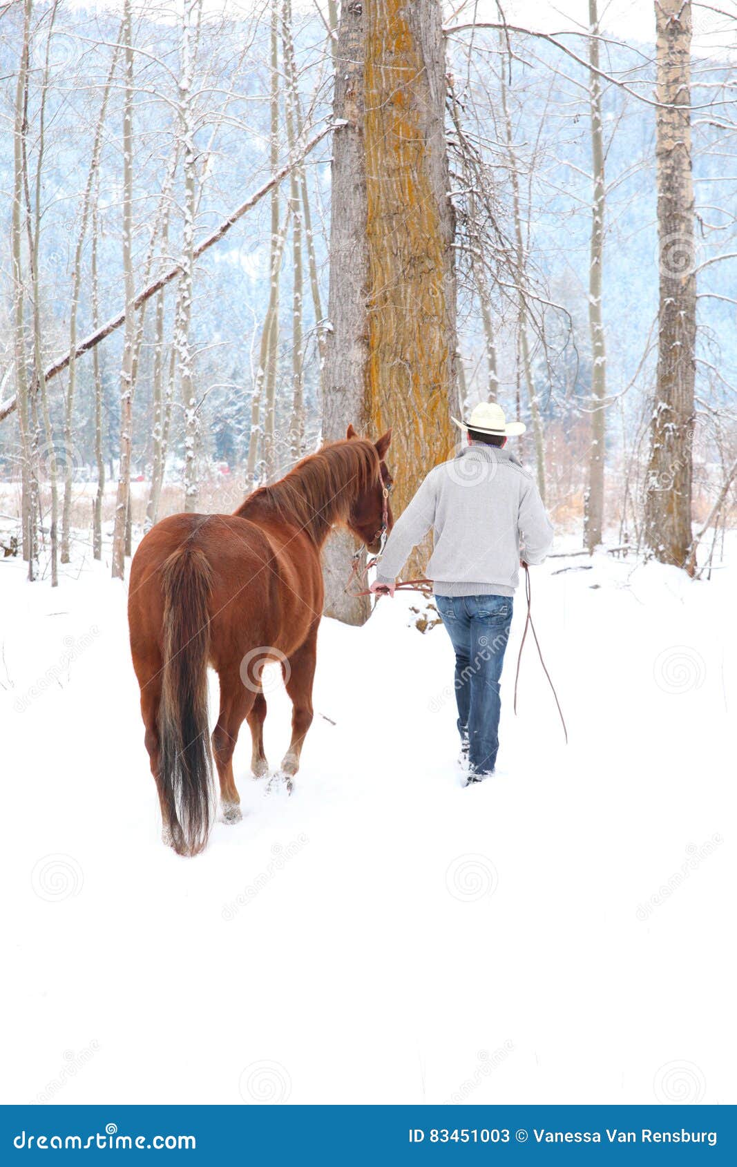 Winter cowboy stock image. Image of animal, cowboy, relationship - 83451003
