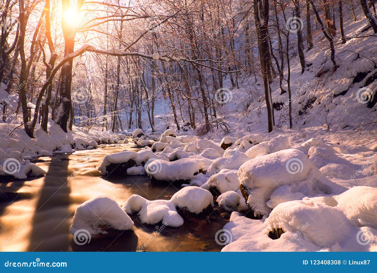 Winter creek stock photo. Image of cold, amazing, hiking - 123408308