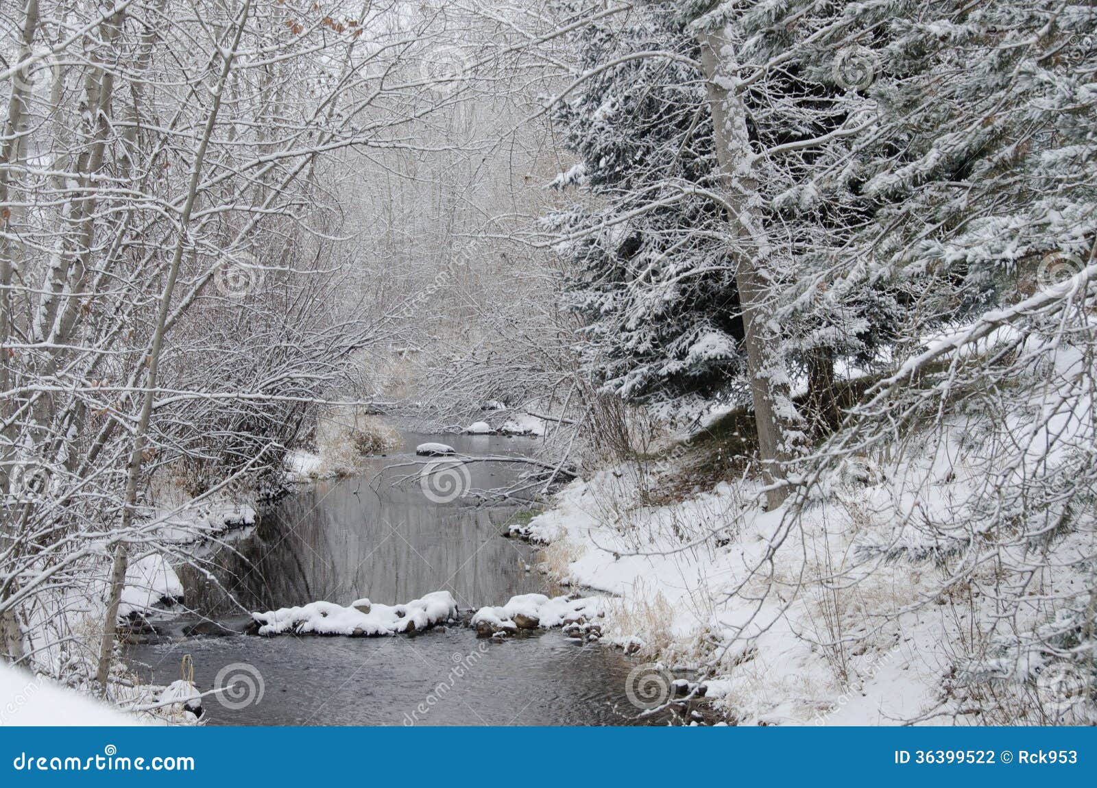 Winter Creek after a Fresh Snowfall Stock Photo - Image of fresh ...