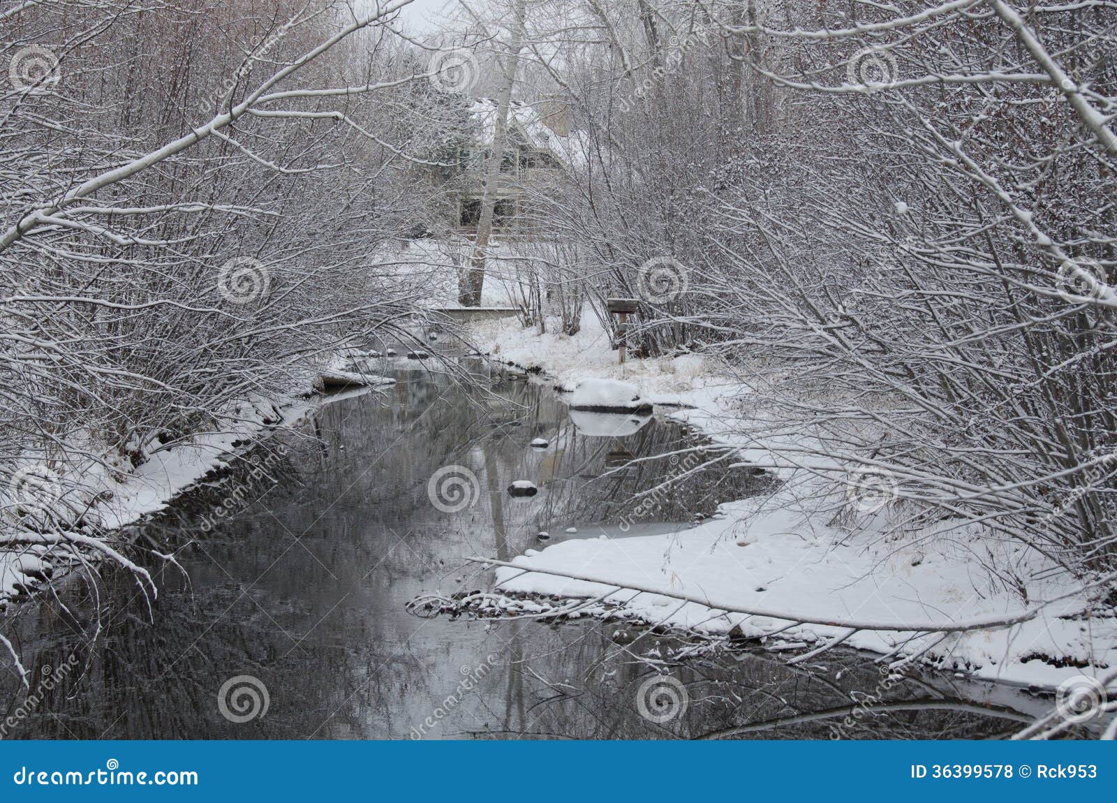 Winter Creek after a Fresh Snowfall Stock Photo - Image of creek ...