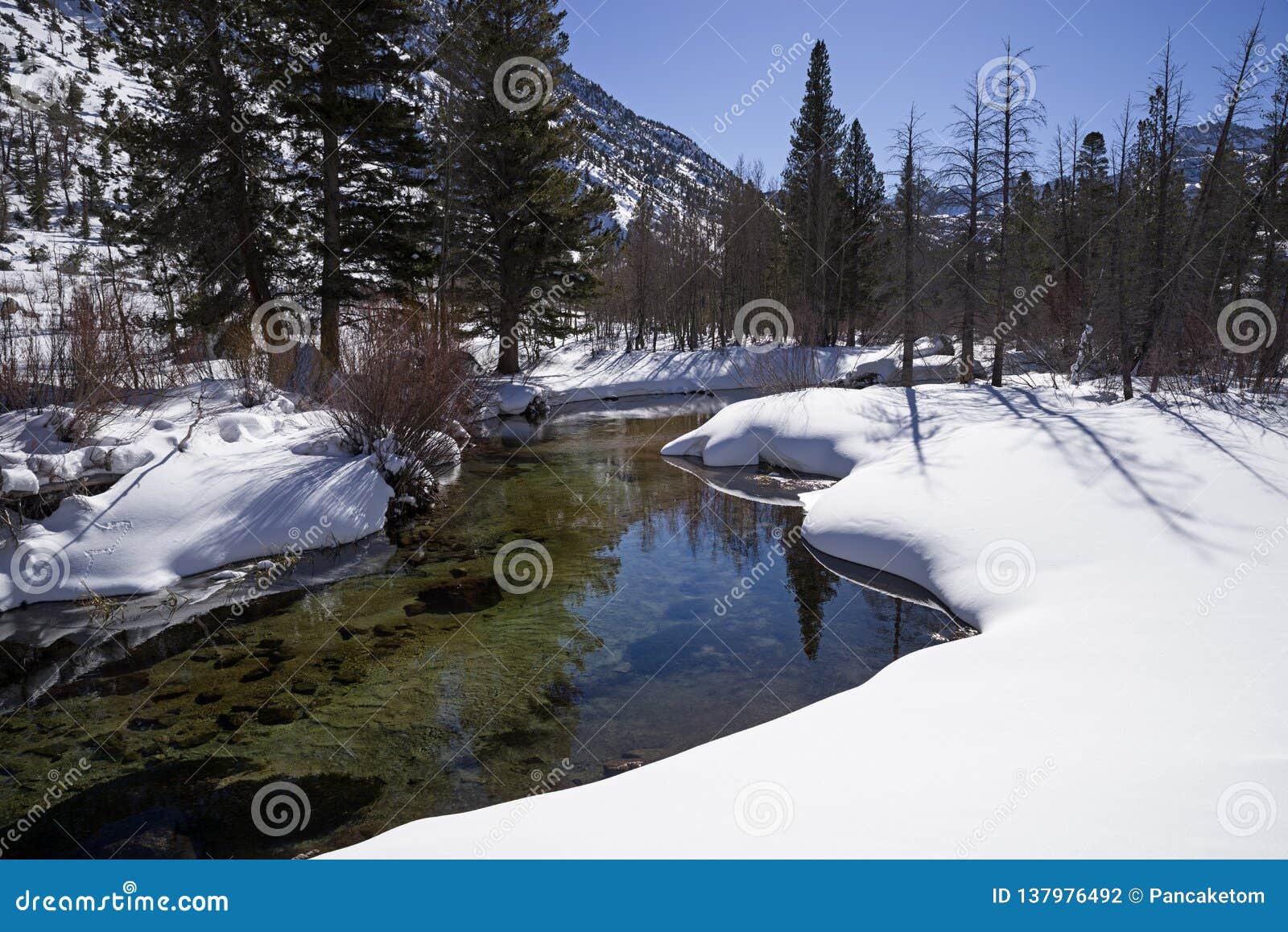 Winter Creek stock photo. Image of fork, water, flowing - 137976492