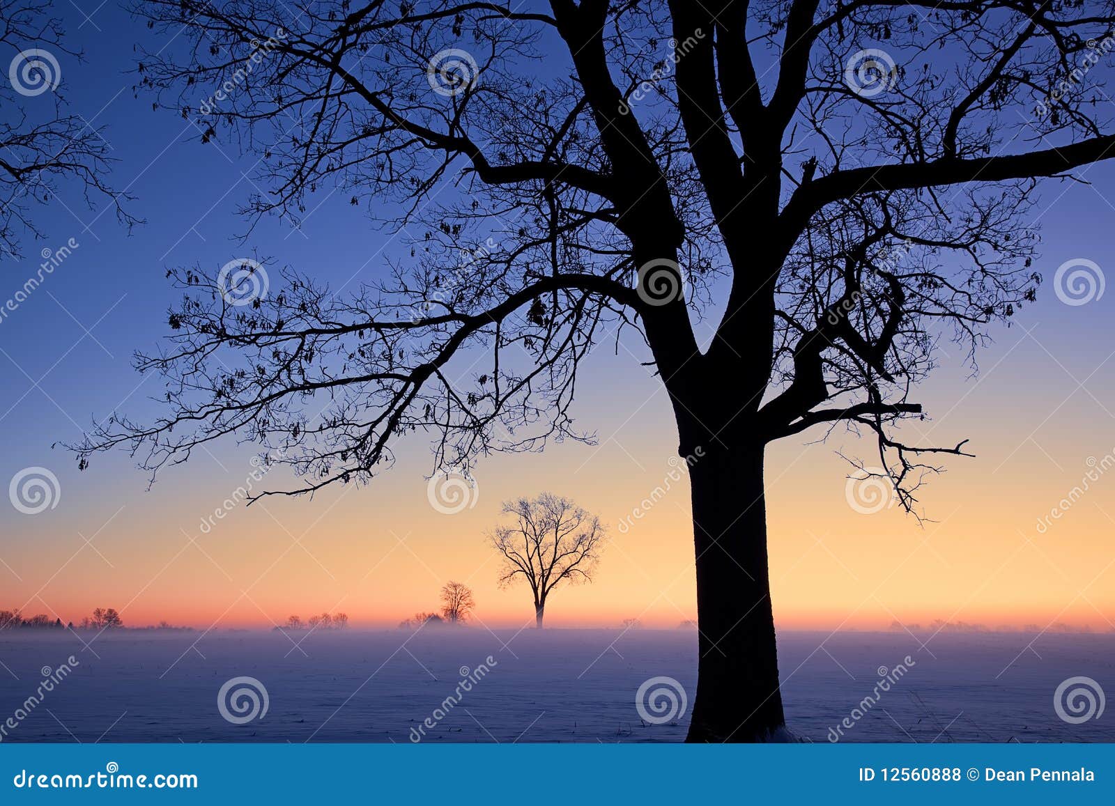 Winter Dawn stock photo. Image of rural, dawn, serene - 12560888