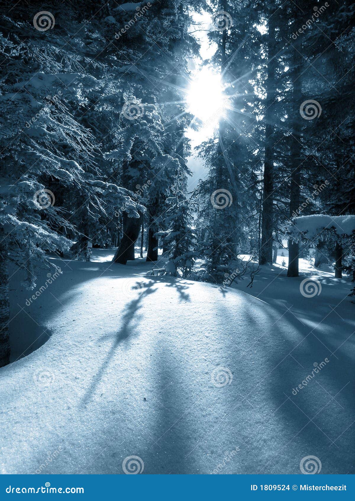 Winter dawn stock photo. Image of natural, snow, winter - 1809524