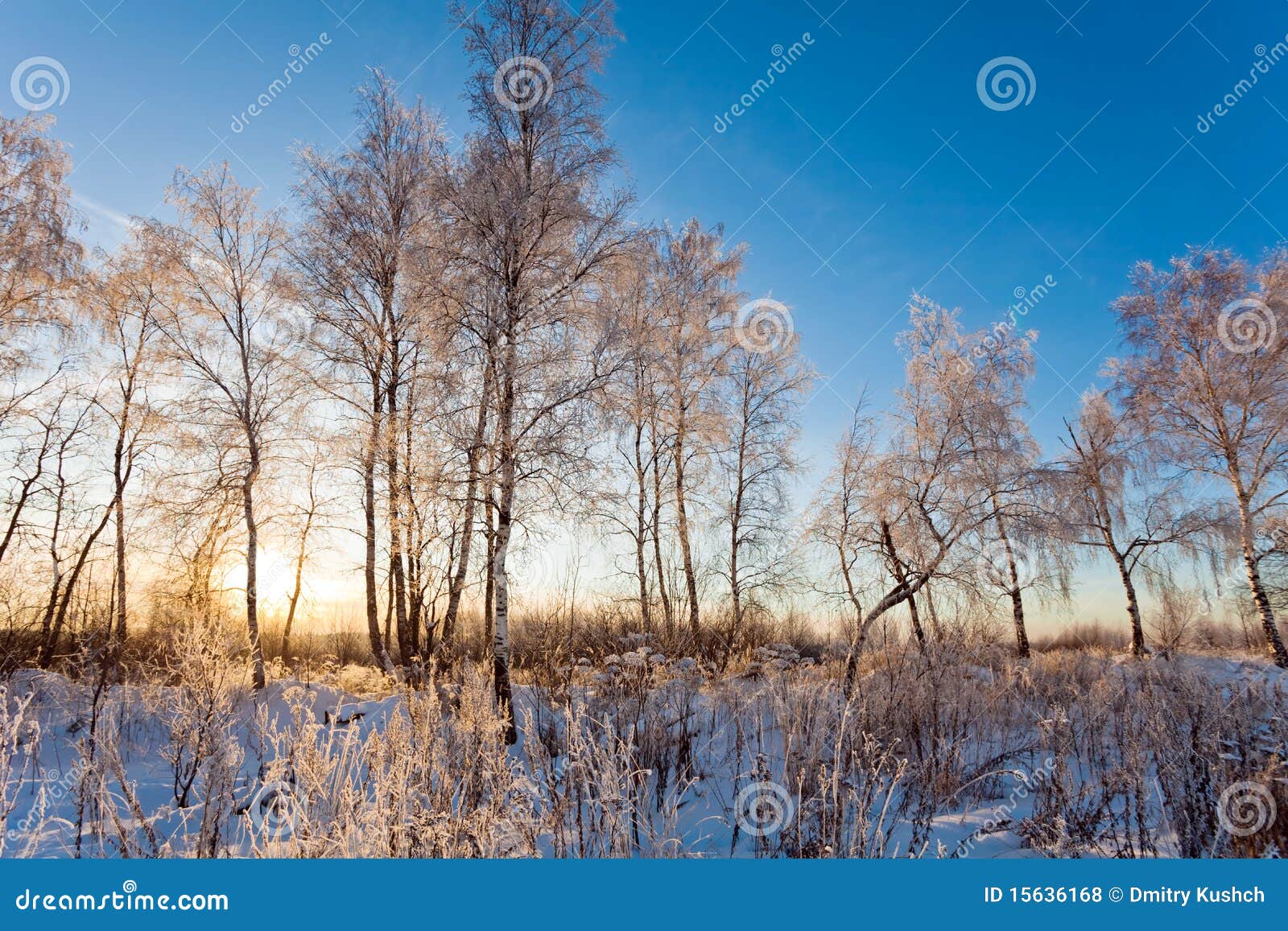 Winter day stock photo. Image of color, scene, detail - 15636168