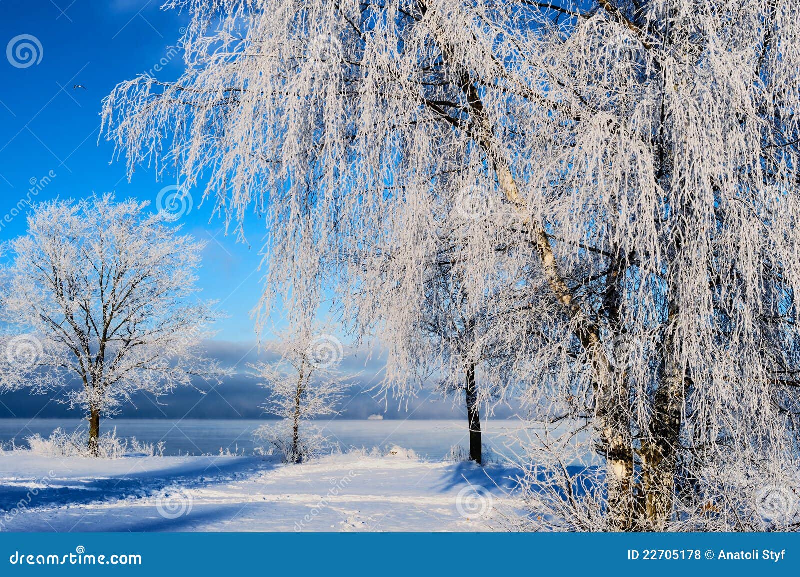 Winter Day stock photo. Image of natural, season, december - 22705178