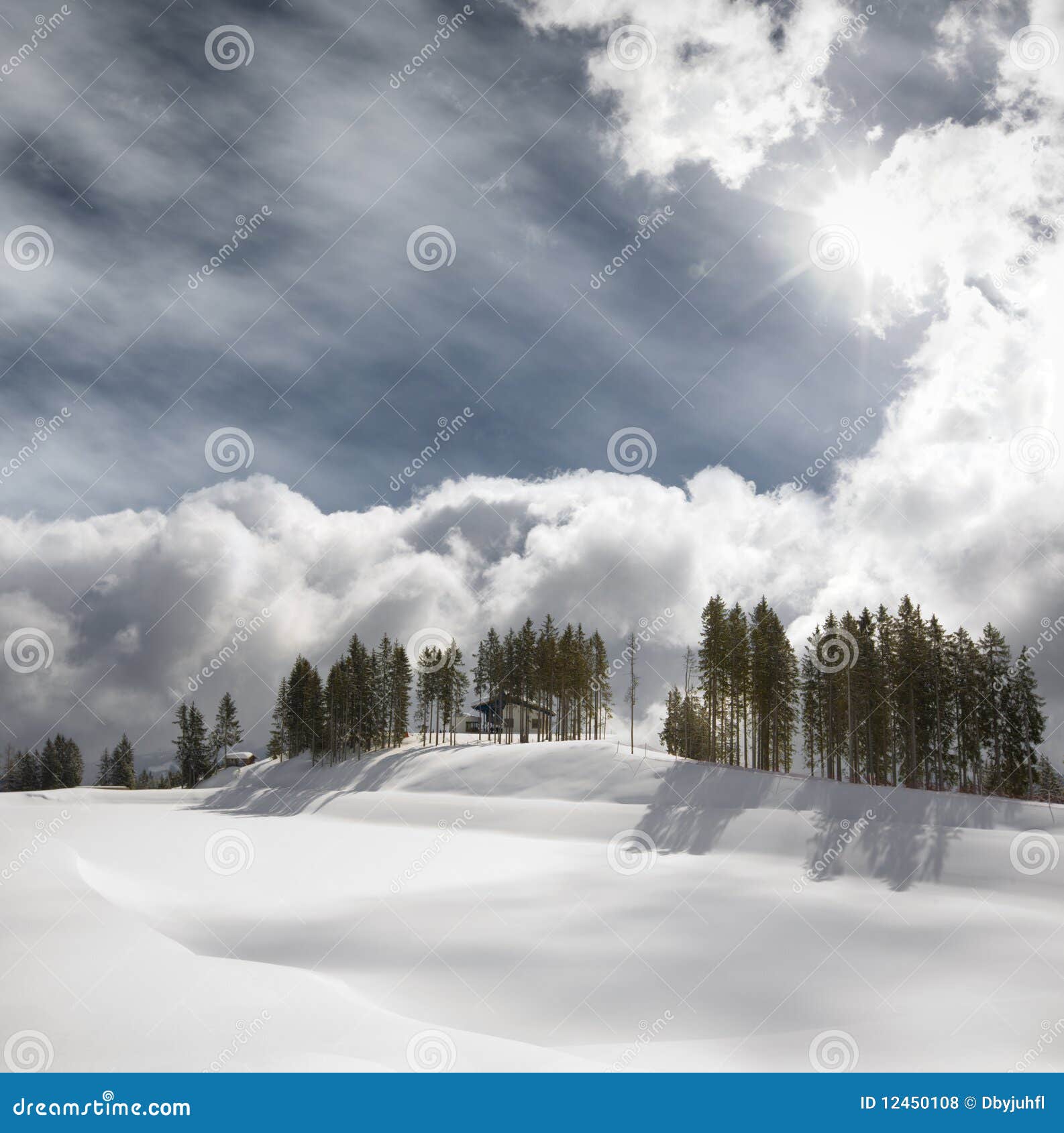 Winter day in the Alpes. stock photo. Image of tree, snow - 12450108