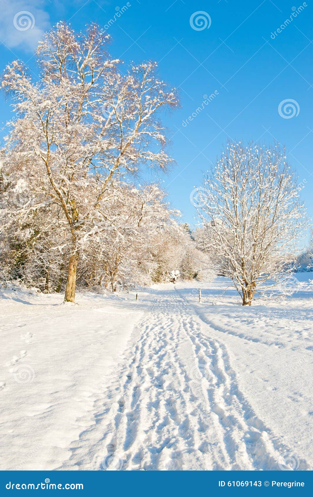 Winter day stock image. Image of january, outdoors, landscapes - 61069143