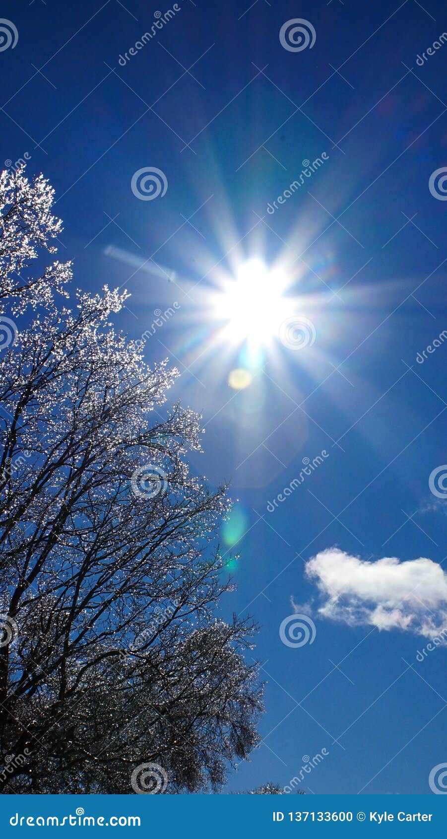 Winter Day stock photo. Image of tree, white, blue, season - 137133600