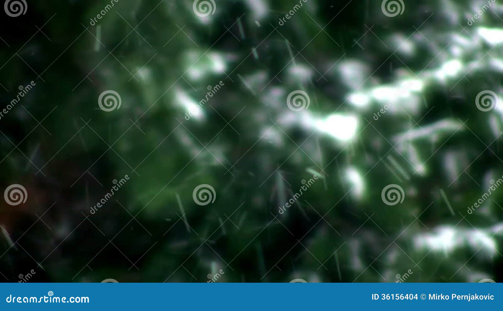 Winter Day with Snow Falling - Color Graded Stock Video Footage - Video ...