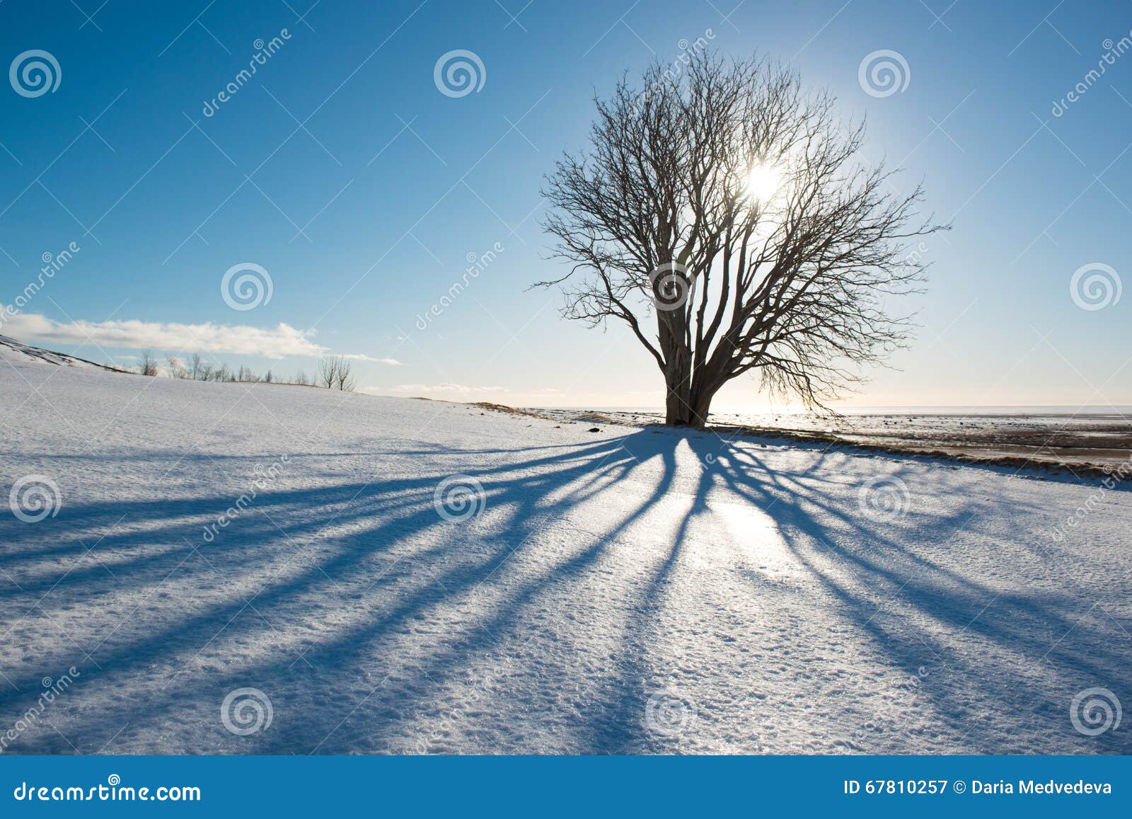 95,289 Winter Shadow Stock Photos - Free & Royalty-Free Stock Photos ...