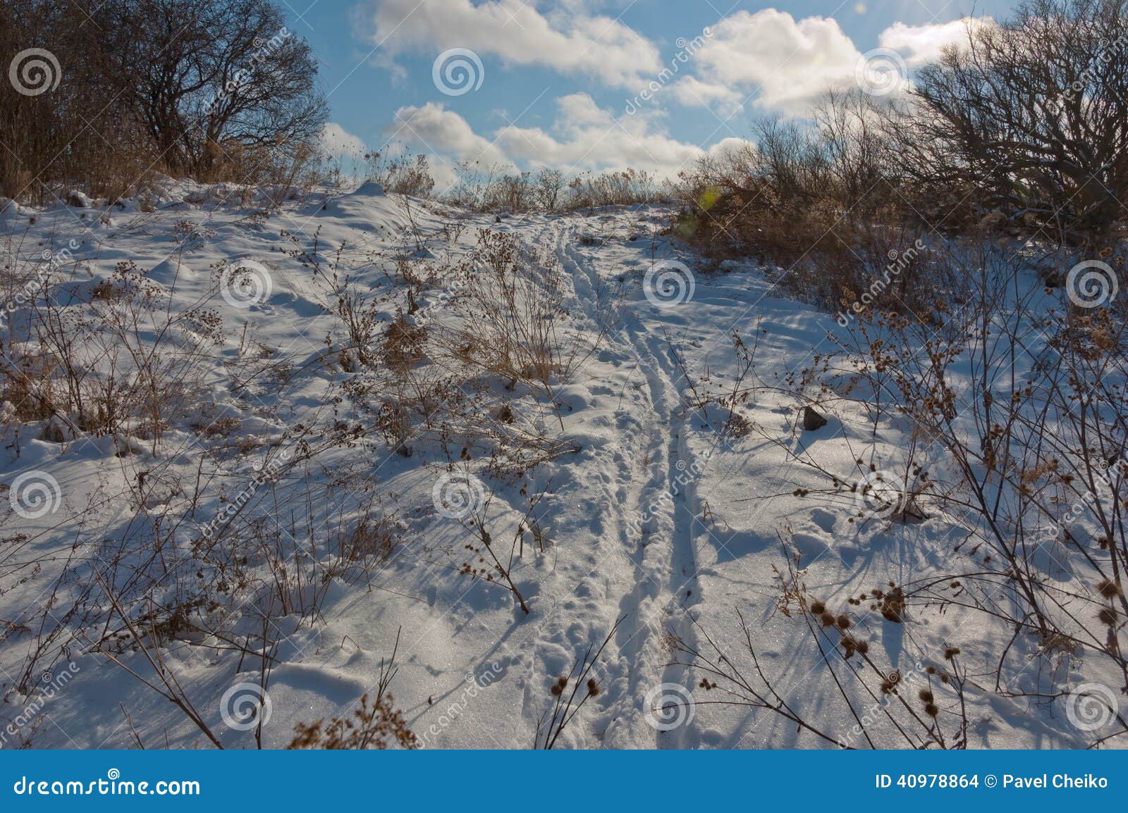 Winter day stock photo. Image of covering, frosty, fall - 40978864