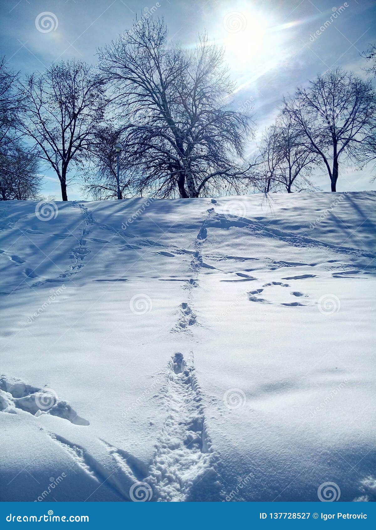 Winter days stock image. Image of winter, cold, snow - 137728527