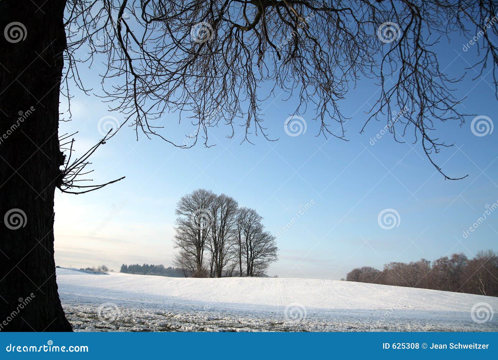 Winter in denmark stock photo. Image of colours, field - 625308