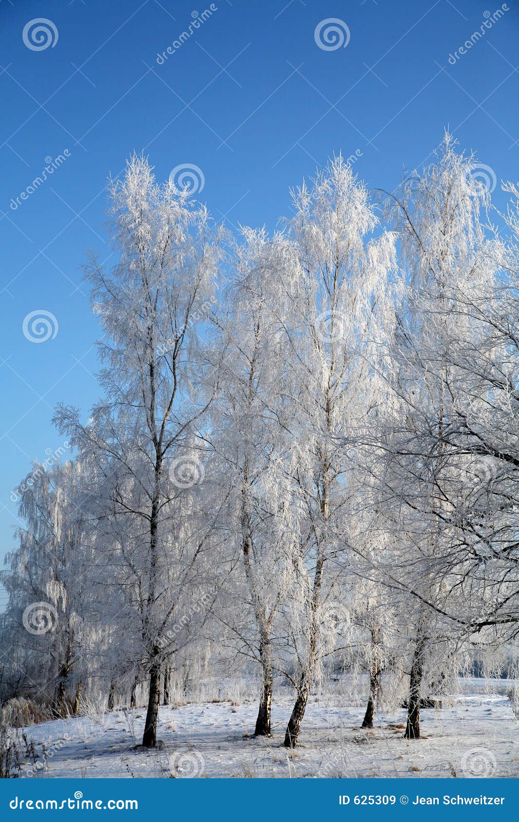 Winter in denmark stock image. Image of holiday, landmark - 625309